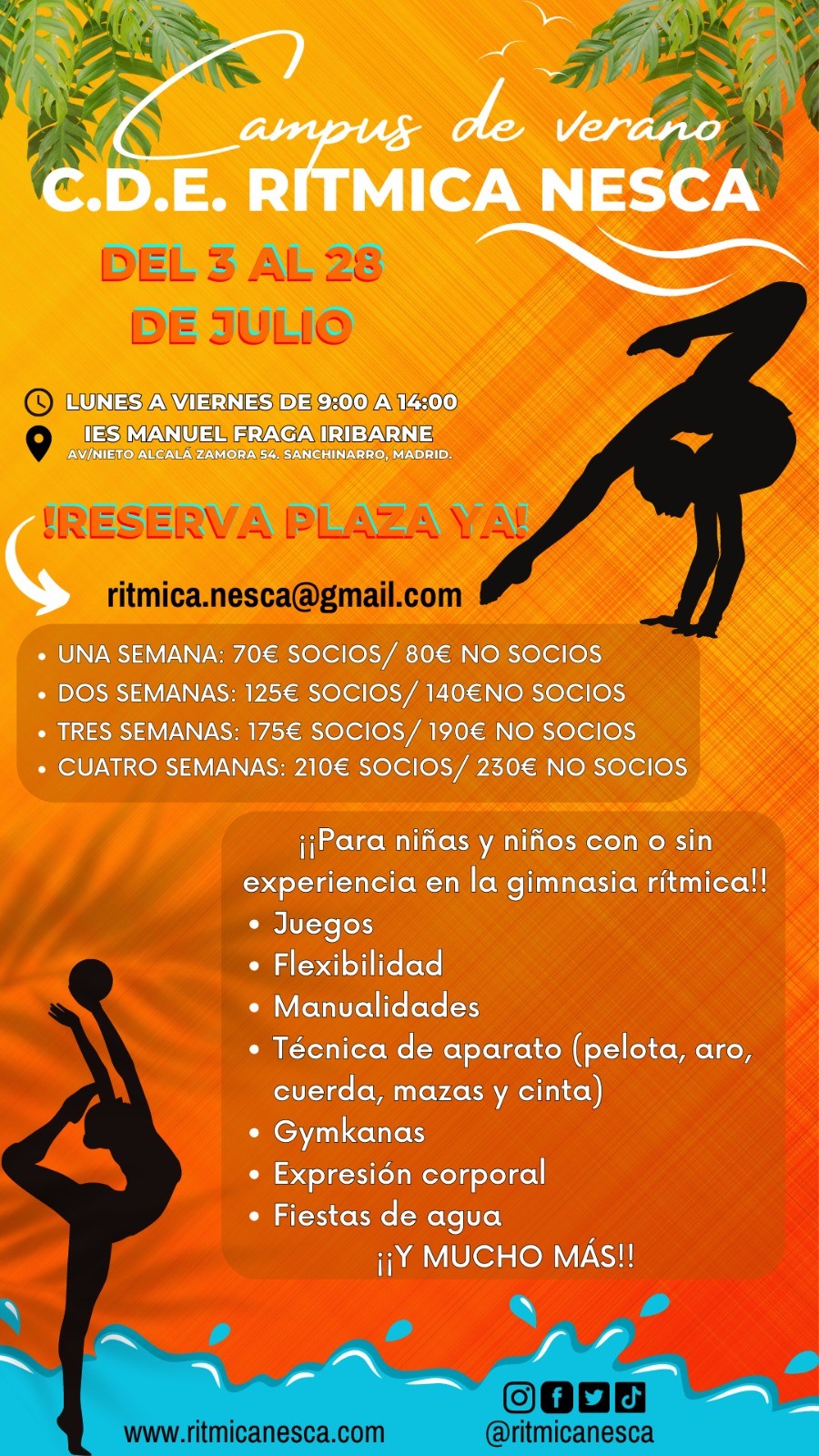 Noticias | Ritmica Nesca